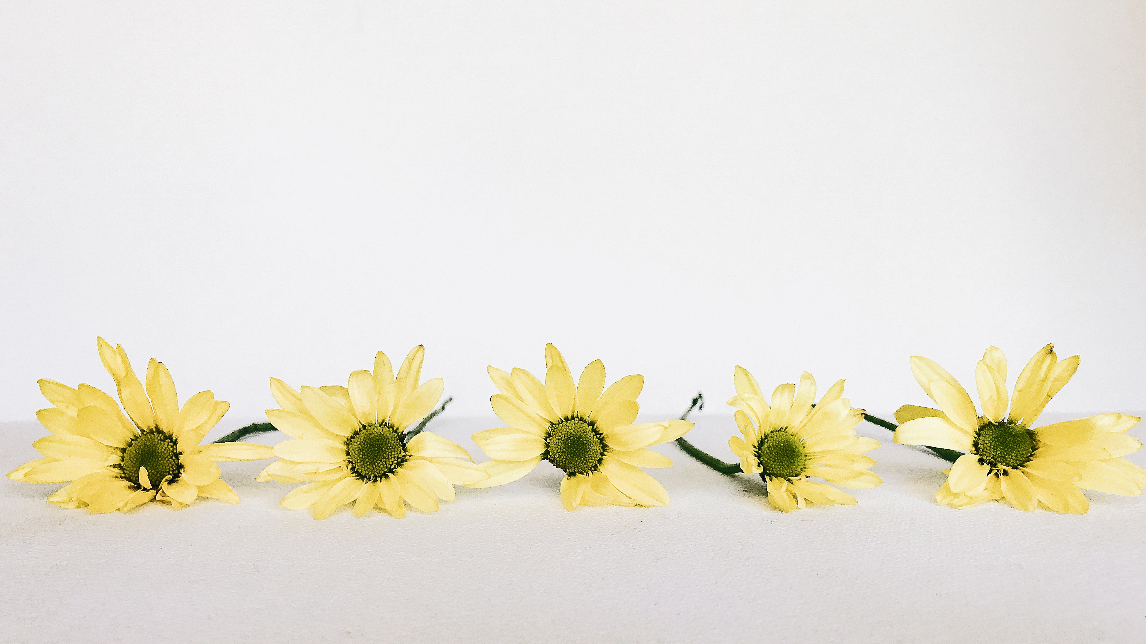 Defining Great Brand Values Five Practical Pointers Wavelength